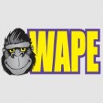 WAPE 95.1 | RadiosAovivo.online