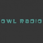 WOWL 91.7 FM | RadiosAovivo.online
